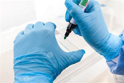Scientist Preparing Slides With Paraffin Embedded Tissue Samples For Immunohistochemistry Assay