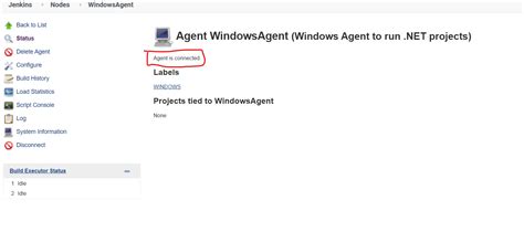 Windows Agent For Jenkins Master Issue · Issue 875 · Qt Devops