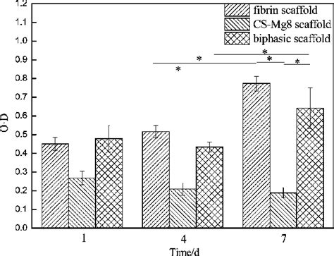 Viability Of Bmscs In Fibrin Scaffolds Cs Mg8 Scaffolds And Composite Download Scientific