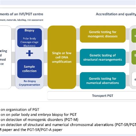 Overview Of The Testing Strategies That Can Be Applied For Pgt M Download Scientific Diagram Overview Of The Testing Strategies That Can Be Applied For Pgt M Download Scientific Diagram