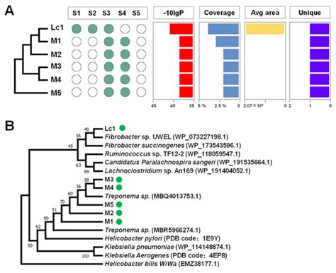 Activity And Enrichment Based Metaproteomics Insights Into Active Urease From The Rumen