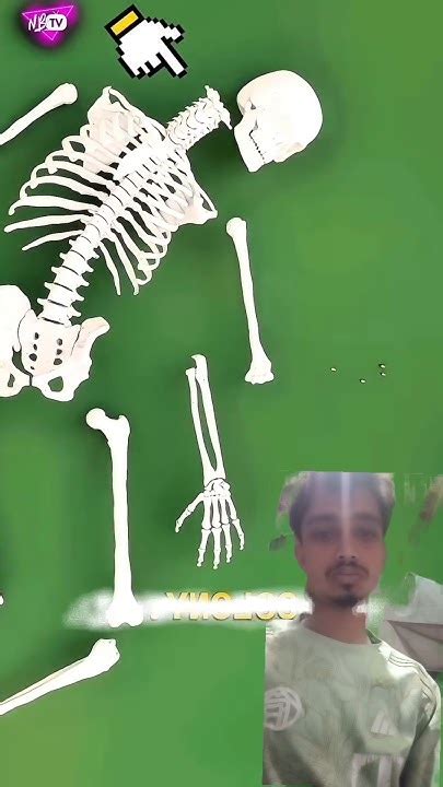 Scale Items 🤣 New Viral Gadgetssmart Applianceskitchen Inventions Shorts Gadgets Facts