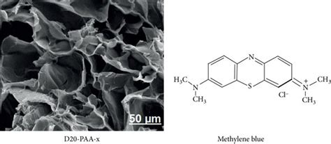 internal structure of cross linked copolymer networks and chemical