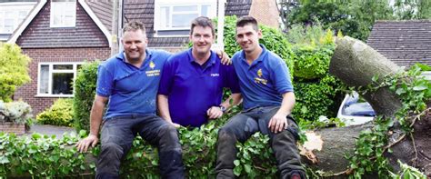 Qualified Tree Surgeons Reading Tree Surgery Arborfield Tree Care