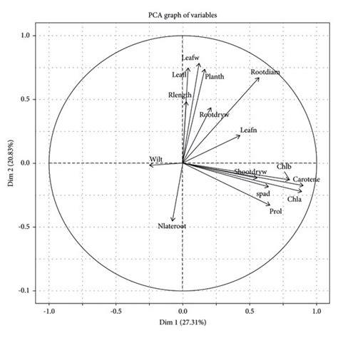 Morphological Architecture Of The Root System Under A Control B