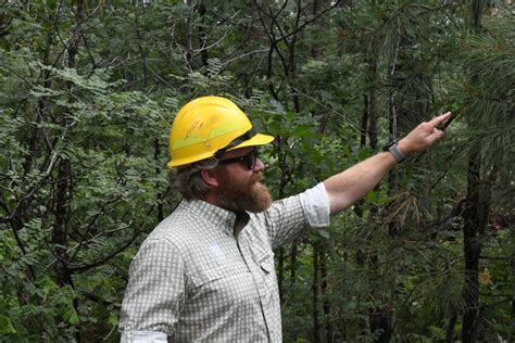 Conservation Vs Preservation Why The Nwtf Prefers The Former The