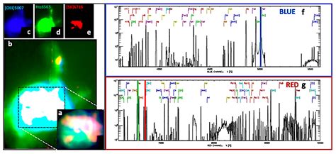 W M Keck Observatory Achieves First Light With Keck Cosmic
