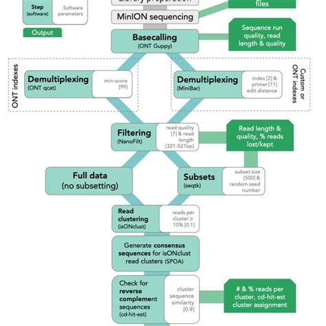 Lab And Saiga Bioinformatics Pipeline Flowchart Bioinformatics