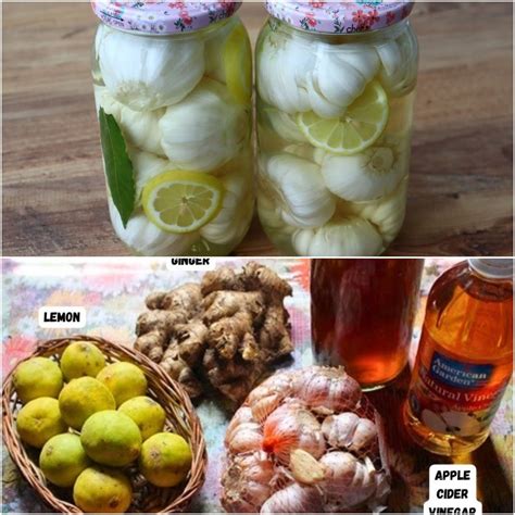 Apple Cider Vinegar Lemon And Garlic—a Potent Natural Antibiotic Recipe