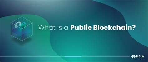 what is a public blockchain an in depth guide hela