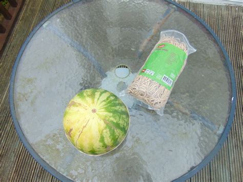 Exploding Watermelon Experiment