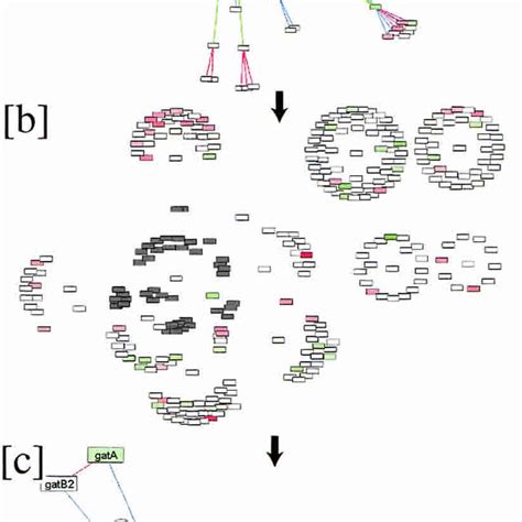 Pdf Cytoscape A Software Environment For Integrated Models Of Biomolecular Interaction Networks