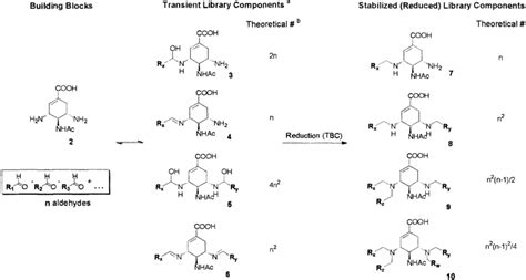 Scheme 1 Structures Of The Scaffold And Library Composition A Download Scientific Diagram