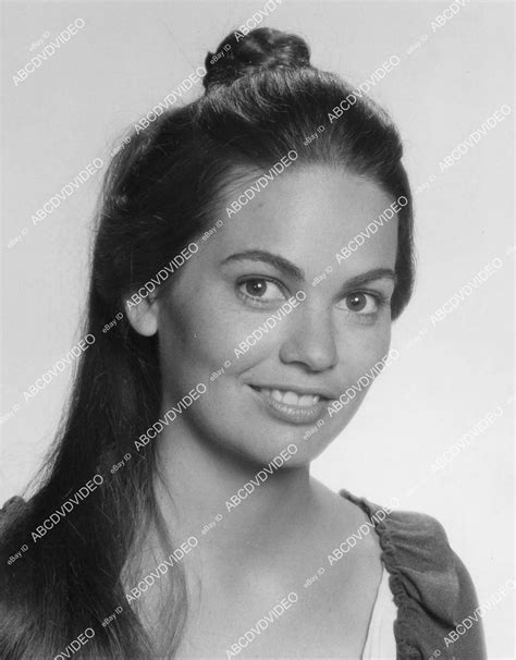 Crp 03628 1977 Devon Ericson Portrait Tv Young Danl Boone Crp 03628