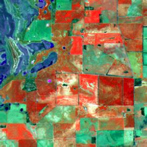 The Effects Of Using Robust And Non Robust Regression Techniques For