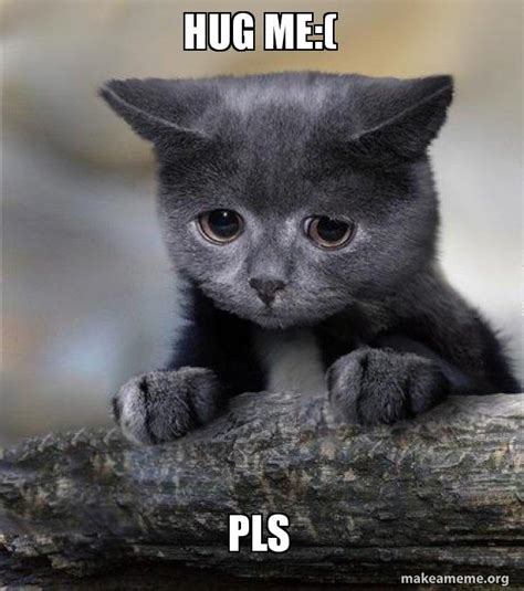 Hug Me Meme
