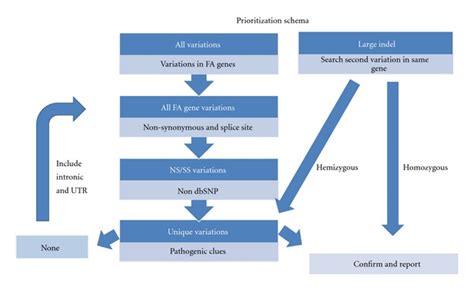 Prioritization Scheme For The Detection Of Disease Causing Mutations By