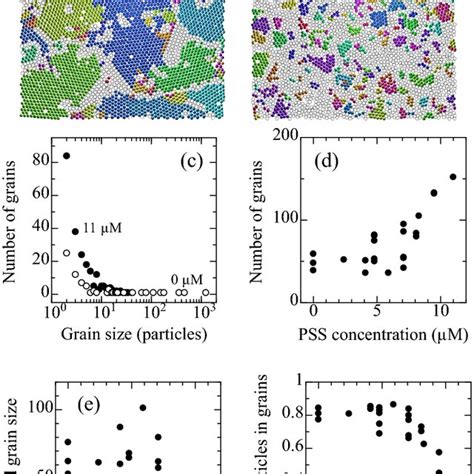 Two Dimensional Radial Distribution Functions In The First Layer Download Scientific Diagram