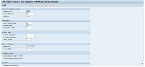FMFG E SF SAP Tcode US Federal SF Voucher Process