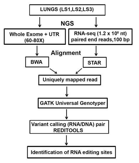 figure s1 bioinformatics analysis pipeline that was used for