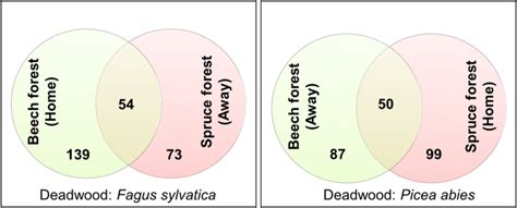 Venn Diagram Displaying The Numbers Of Specific And Shared Fungal Otus