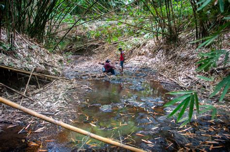 Ipo Watershed Indigenous Communities At The Frontlines Of Environmental Conservation Wwf