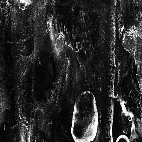 Under Progress Norbert Haftek