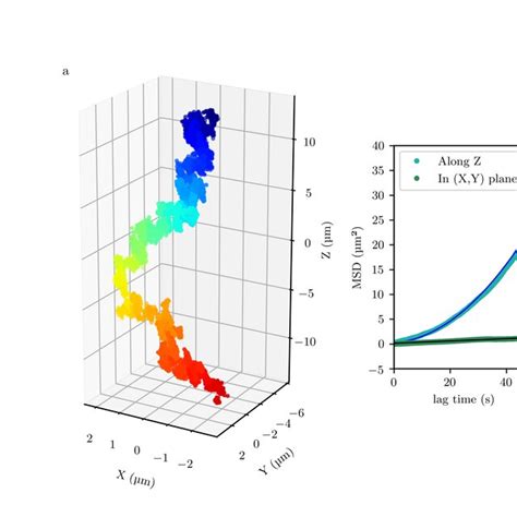 a 3d trajectory of a freely moving particle in a water glycerine