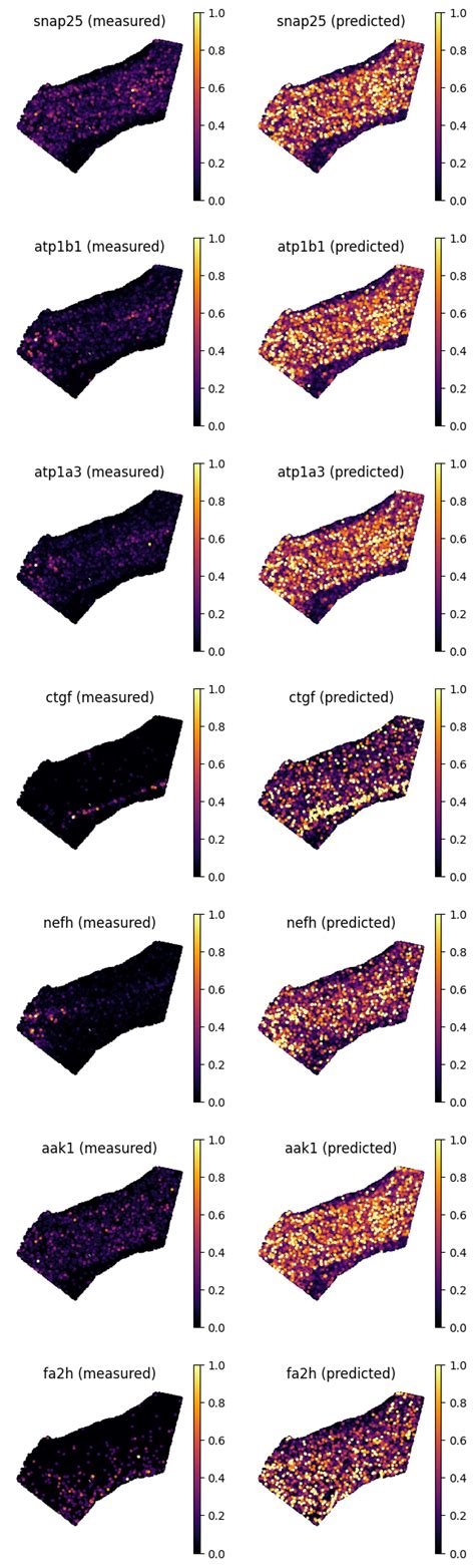 Deep Learning And Alignment Of Spatially Resolved Single Cell Transcriptomes With Tangram