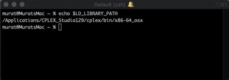 Java How To Set LD LIBRARY PATH DYLD LIBRARY PATH On Macos Stack Overflow