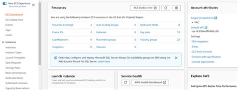 Everything You Should Know About AWS EC2 Instances Petri