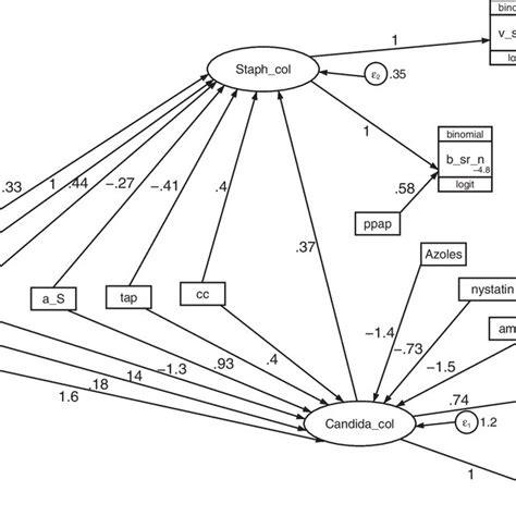 Gsem Of The Interaction Model Model A In Relation To Staphylococcus