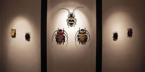 CORAZZE - Maxima Gallery