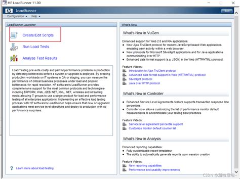 Loadrunner11 Post请求接口压力测试并生成报告 Csdn博客