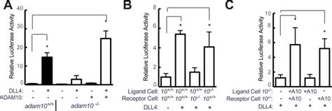 Structural Basis For Regulated Proteolysis By The α Secretase Adam10 Pmc