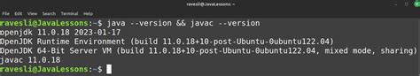 Начало работы с Java Установка в Windows Linux Macos Ravesli