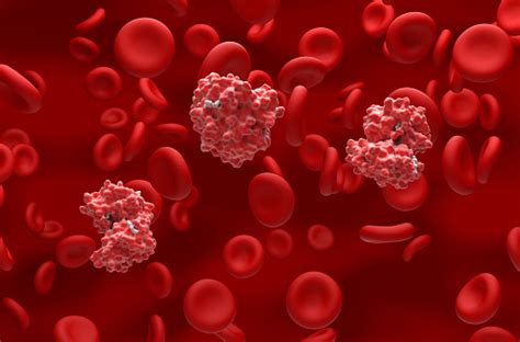 혈류의 옥시헤모글로빈과 헤모글로빈 세포 등척성 보기 3d 그림 3차원 형태에 대한 스톡 사진 및 기타 이미지 3차원 형태 간호사 감지기 Istock