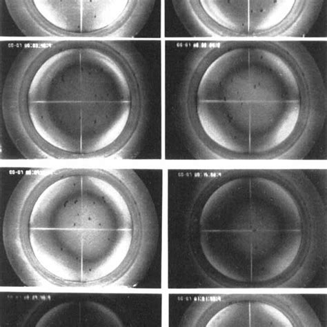Photographs Showing The Evolution Of The Colour Patterns In Experiment