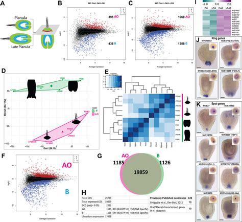 Global Transcriptomic Analysis A Schematic Representation Of The