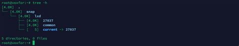 How To Get Linux File Structures With The Tree Command