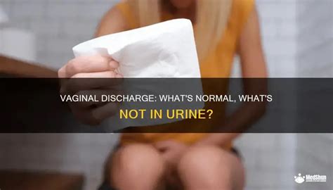 Vaginal Discharge Whats Normal Whats Not In Urine Medshun