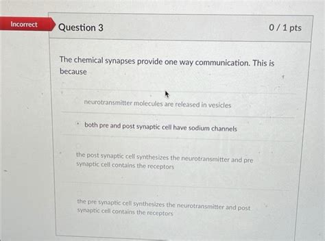 Solved Incorrect Question 3 0 1 Pts The Chemical Synapses