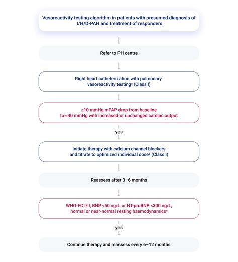 Pulmonale Arterielle Hypertonie Pah Ph Experten