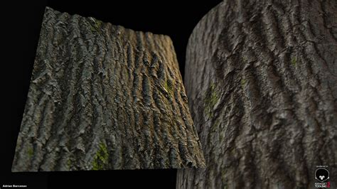 ArtStation Tilable PBR Tree Texture Adrian Barcenas Tree Textures Tree Artwork