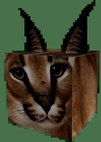 Floppa Raise A Floppa Fanon Wiki Fandom