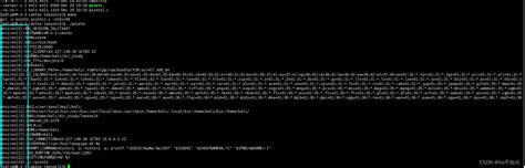 【linux】环境变量 什么是环境变量如何查看当前用户的shell环境变量 csdn博客