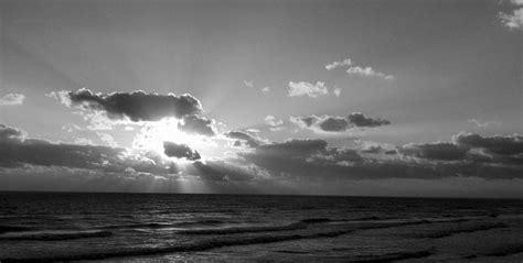 Grays By Darkstarlight On Deviantart