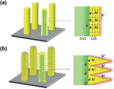 Figure 1 From Low Temperature Synthesis Of Znocds Hierarchical Nanostructure For Photovoltaic