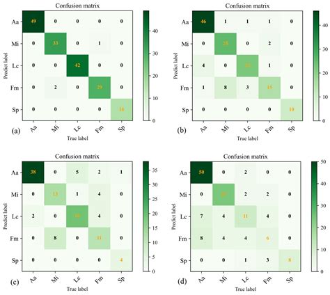 Improving Artificial Intelligence Based Individual Tree Species Classification Using Pseudo Tree