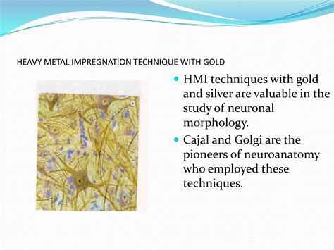 Histology Of Cerebral Cortex Pptx
